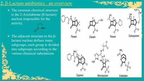 Beta Lactamases Structure Classification And Investigations Pdf