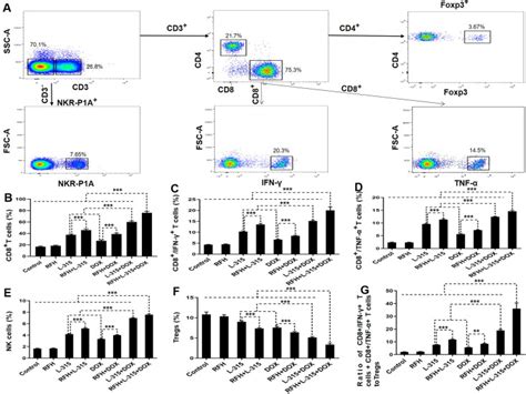 Enhanced Efficacy Of Direct Immunochemotherapy For Hepatic Cancer With