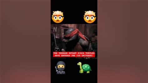 🥷new🐢 Theres Tmnt In Black Ops 6 But No Raphael😭😠 Codbo6 Bo6