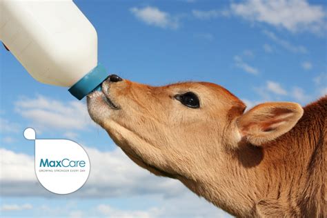 Exciting Leadership Update At Maxcare Maxcare