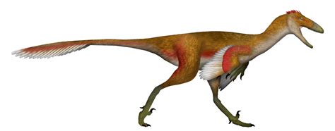 Pectinodon Scratchpad Video Wiki Fandom