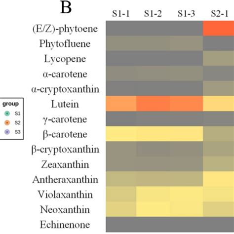 Preliminary Analysis Of Metabolome Data A Pca Score Plot Of Mass