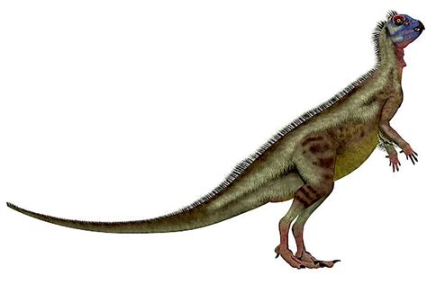 Hypsilophodon Dinosaur Museum Web