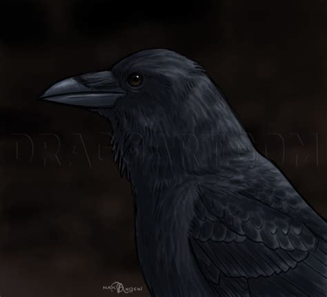 How To Draw Ravens Step By Step Drawing Guide By Makangeni Dragoart
