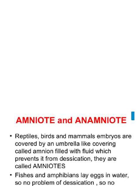Extraembryonic Membranes And Implantation Pdf Uterus