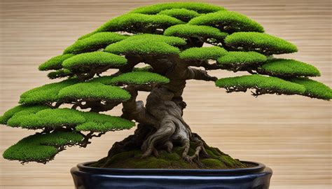 Bonsai Tree Species Exploration The Majestic Oak