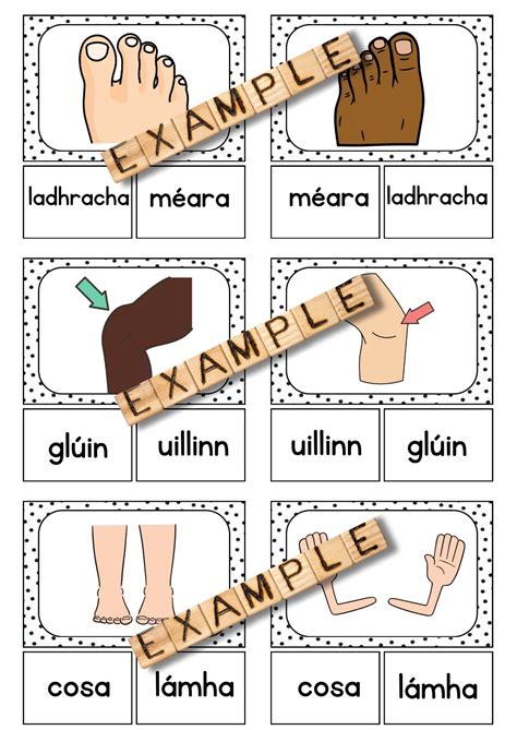 Mash 1st 2nd Class Mé Féin Vocabulary Peg Game