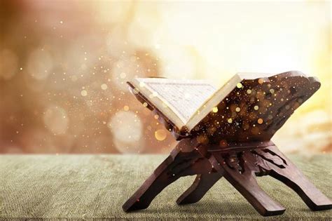 Pin On Places To Visit