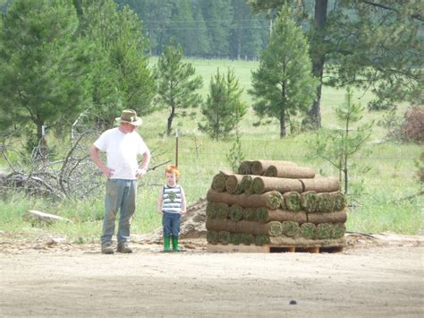 Let The Earth Bring Forth Grass Joyful Domesticity