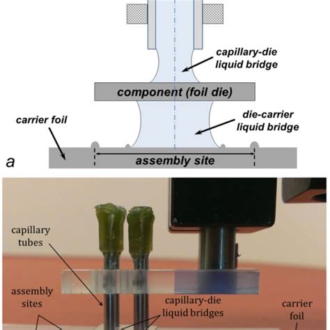 Pdf Capillary Gripping And Self Alignment A Route Toward Autonomous