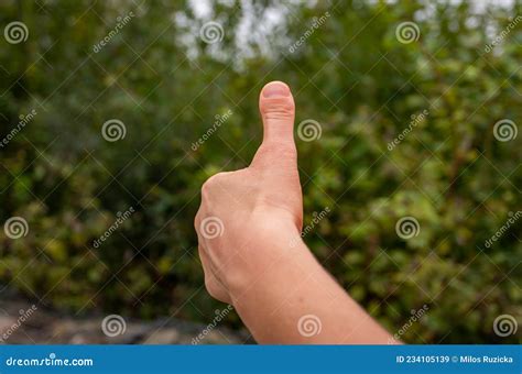 Why Is A Thumb Called A Thumb At Robert Cargile Blog