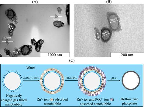 Bulk Nanobubbles Or Not Nanobubbles That Is The Question Langmuir