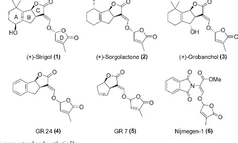 Figure 1 From Strigolactone Analogs Derived From Ketones Using A