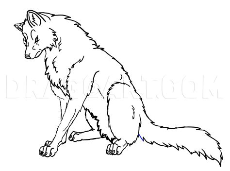 Sitting Wolf Drawing