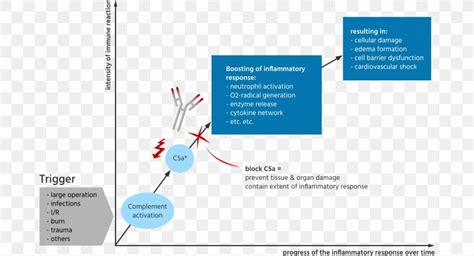Complement Component 5a Complement System Inflammation C5a Receptor