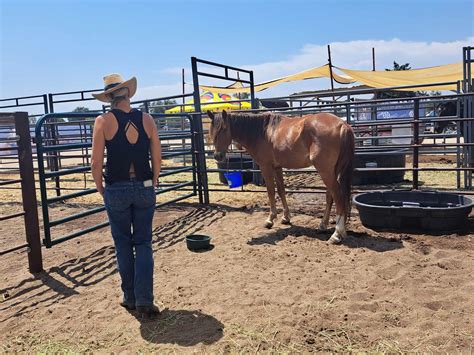 Bree Thompson Chamiso Is Finally Acknowledging Me And Facebook