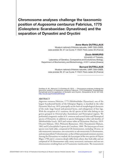Coleoptera Scarabaeidae Dynastinae And The Separation Of Dynastini