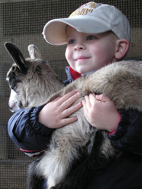 Classes — Friends Of Deer Hollow Farm