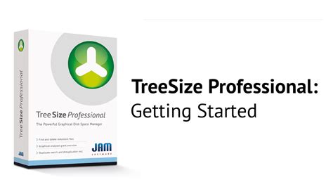 How Treesize Works At Donna Champion Blog