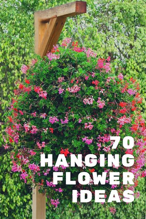 70 Hanging Flower Basket Ideas Incredible Collection Of Some Of The Most Spectacular Hanging