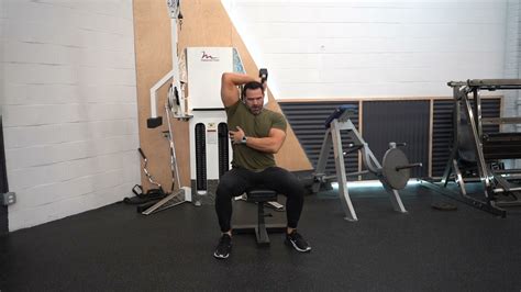 Leg Extensions Jacob Zemer
