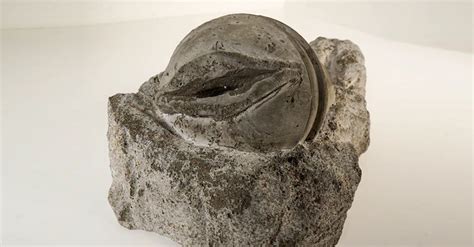 Beyond Taboos A Comprehensive Guide To Pocket Pussies And Their Origins