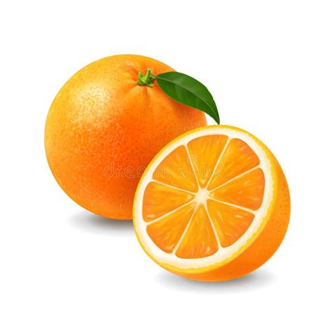 Fresh Oranges Fruits With Green Leaf Half And Whole Isolated Realistic
