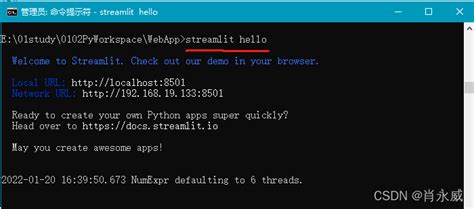 Python数据分析师使用低代码streamlit实现web数据可视化方法——入门篇streamlit 入门 Csdn博客