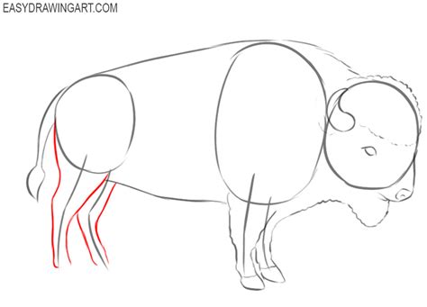 How To Draw A Buffalo Easy Drawing Art