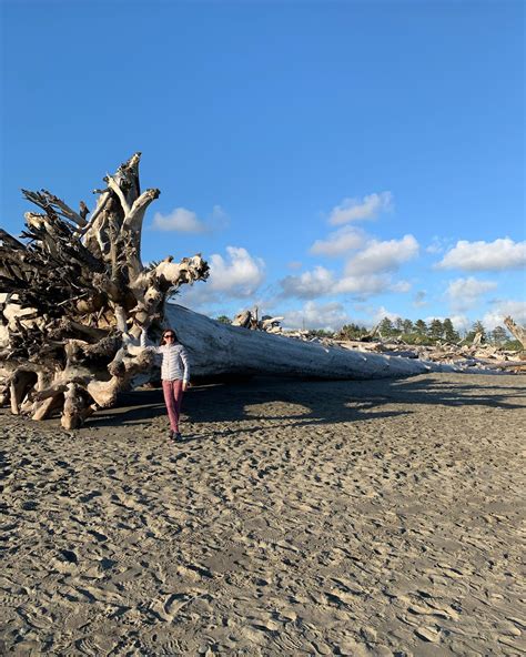 Bryce Bauer Bryce Bauer Added A New Photo