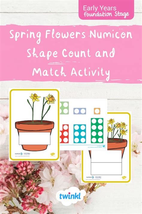 Spring Flowers Numicon Shape Count And Match Activity Eyfs Activities