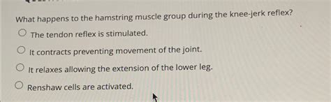 Solved What Happens To The Hamstring Muscle Group During The