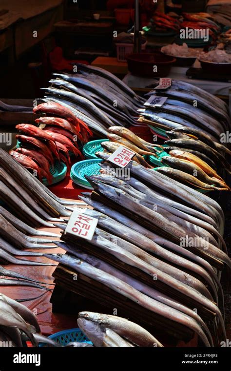 Fish Market In Busan South Korea Silver Hairtail Fish Also Known As