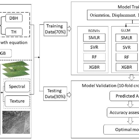 Experimental Methodology And Procedure Of Statistical Analysis In This Download Scientific