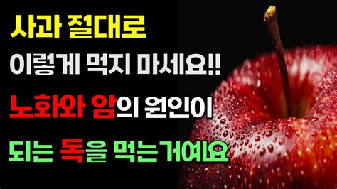 사과 이렇게 먹으면 독을 먹는 겁니다 대부분 잘못 알고 있는 건강상식 특히 이런 분들은 조심하세요 건강 건강정보 사과효능 Youtube