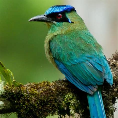 Ruby Adriana Gutierrez Ariza Youtube