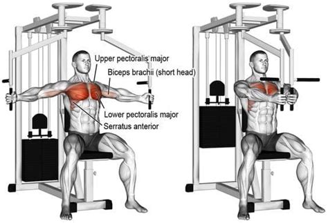 The Best Pec Deck Alternatives For An Awesome Chest Fitness Volt