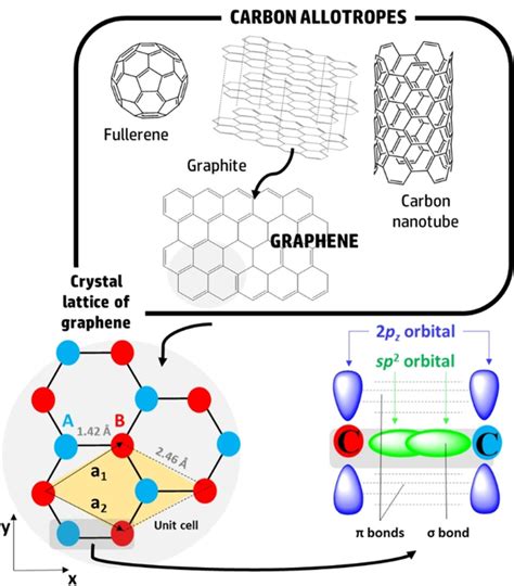 Examples Of Carbon Allotropes The Structure And Crystal Lattice Of Download Scientific Diagram