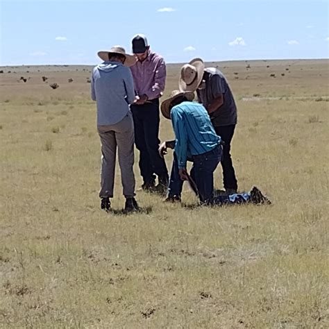 Bunchgrass Monitoring Hmi