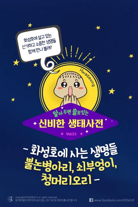 알쓸신생 🔎화성호에 사는 생명들 뿔논병아리 쇠부엉이 청머리오리 수원군공항 이전 대응 화성지킴이