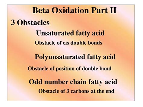 Ppt Beta Oxidation Part Ii Powerpoint Presentation Free Download Id