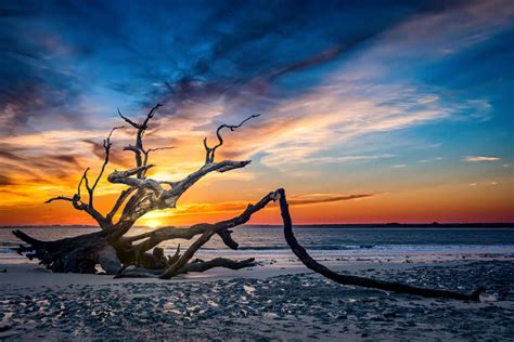 Top Things To Do On Jekyll Island Beaches And Attractions
