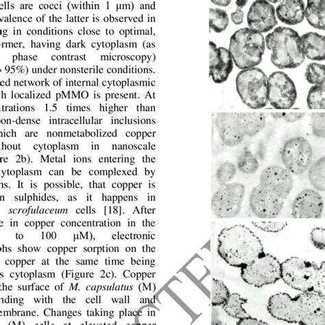 Pdf Effect Of Copper Concentration On The Growth Of Methylococcus