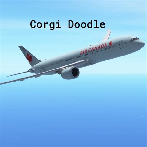 Corgi Doodle Youtube