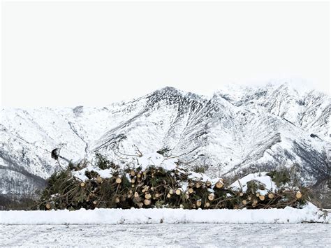 Francesco Jodice Narrates The Link Between Factory Nature And