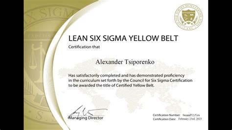 Alex Tsiporenko On Linkedin Leansixsigma Certification