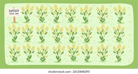 5261 Cover Crops Stock Vectors And Vector Art Shutterstock