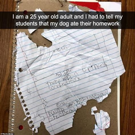 Bad Education Hilarious Snaps Show Teachers Biggest Classroom Fails