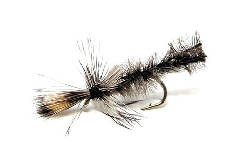 Cripple Callibaetis Fly African Fly