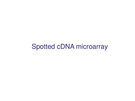 Transcriptomic And Other Omic Data Analysis In Bioinformatics Ppt